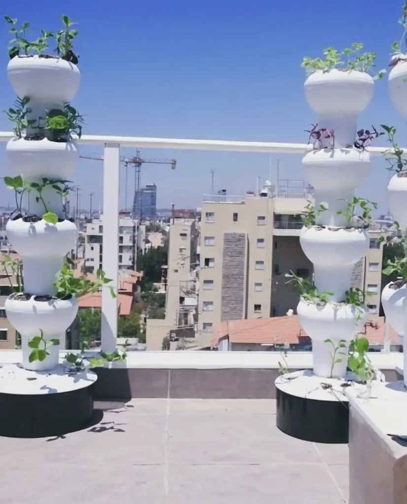 Orto verticale idroponico: una guida per gli appassionati - Pikasus ...