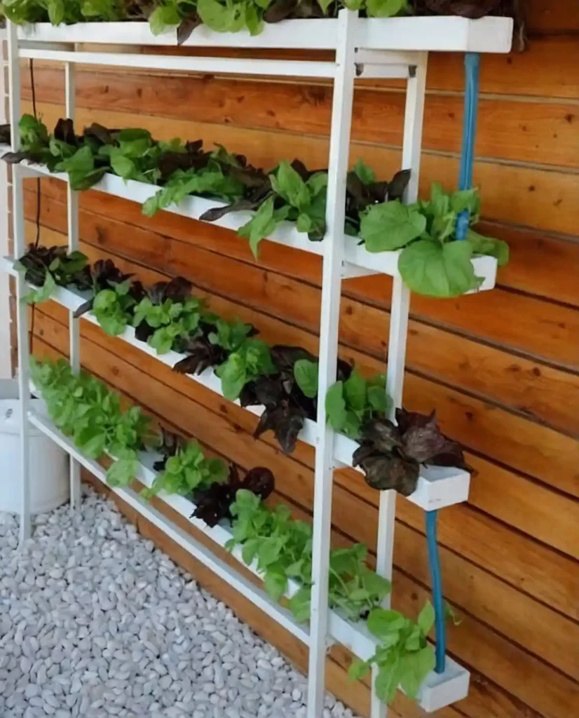 Orto verticale idroponico: una guida per gli appassionati - Pikasus ...